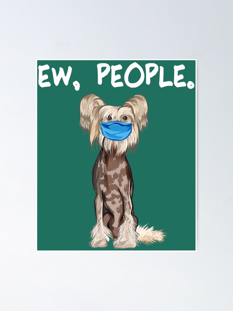 "Chinese Crested Ew People Dog Wearing Face Mask" Poster for Sale by ...