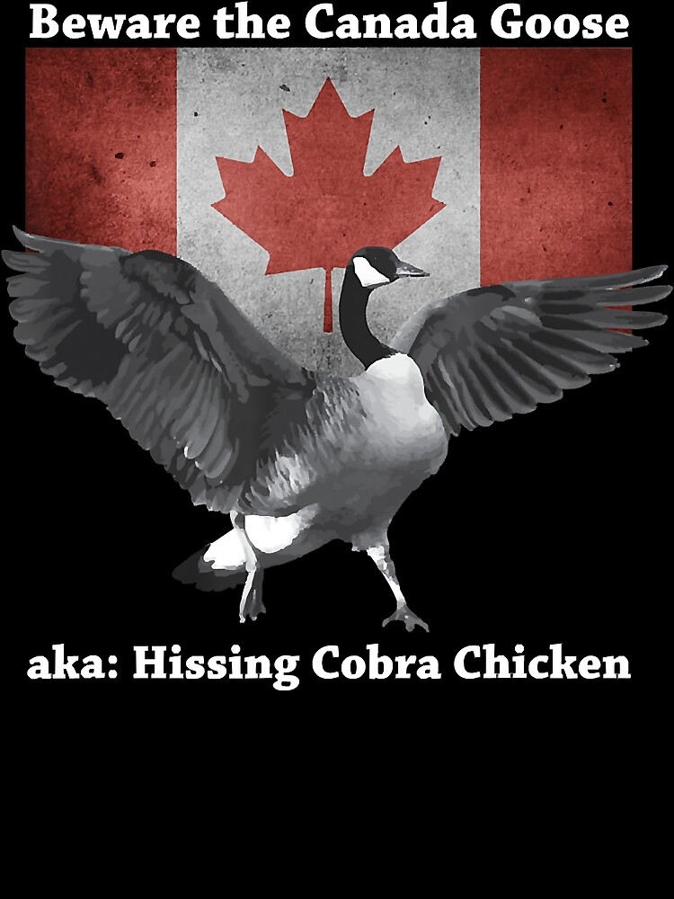 "Beware The Hissing Cobra Chicken Aka Canadian Goose" Photographic ...