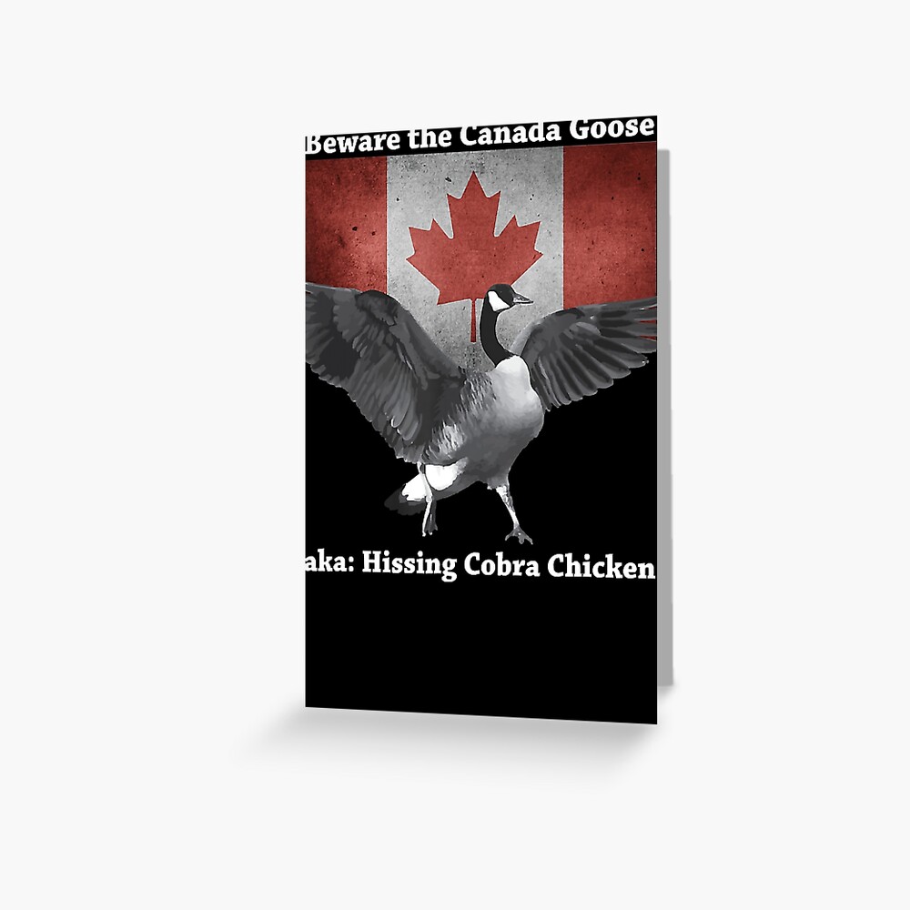 "Beware The Hissing Cobra Chicken Aka Canadian Goose" Greeting Card for ...