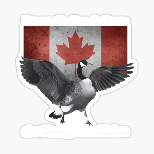 "Beware The Hissing Cobra Chicken Aka Canadian Goose" Sticker for Sale ...