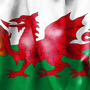 "Welsh Dragon Rugby Ball Flag" A-Line Dress for Sale by MarkUK97 ...