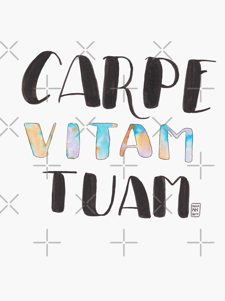 "seize your life" Sticker for Sale by NessaHero | Redbubble