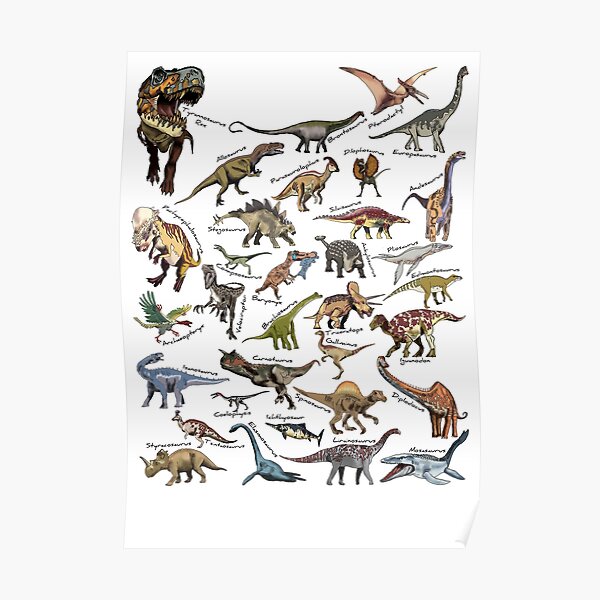 "Dinosaur chart" Poster for Sale by thehat24 | Redbubble