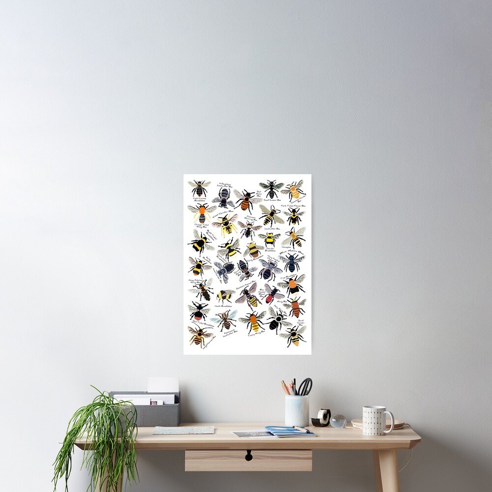 "Bees" Poster for Sale by thehat24 | Redbubble