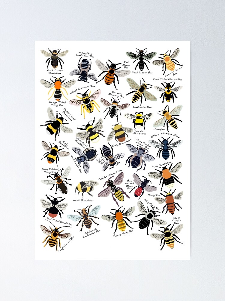 "Bees" Poster for Sale by thehat24 | Redbubble