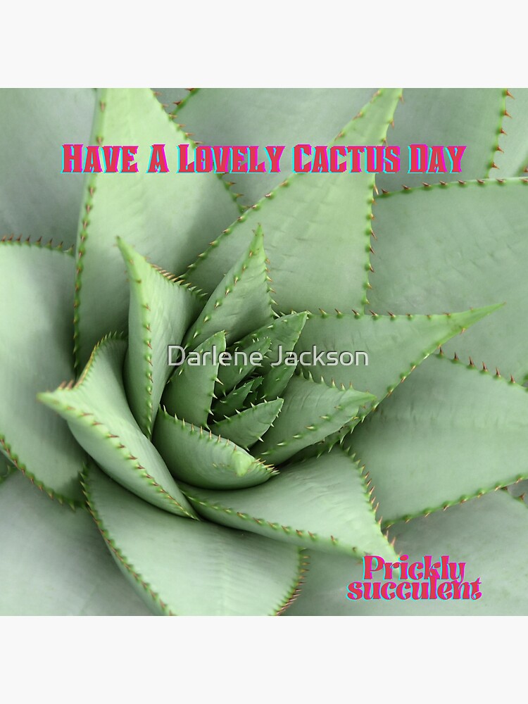 "Prickly Succulent Sage Green Lovely Cactus Summers Day " Sticker for ...