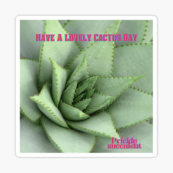 "Prickly Succulent Sage Green Lovely Cactus Summers Day " Sticker for ...