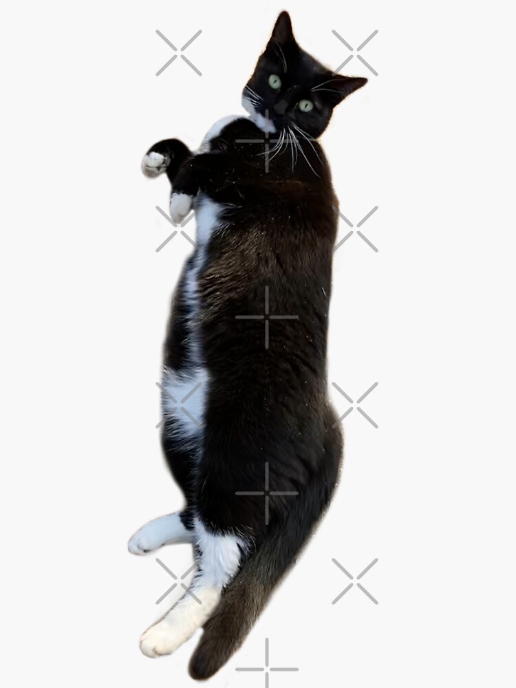 "Long black cat" Sticker for Sale by 0ktype | Redbubble