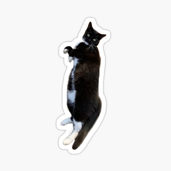 "Long black cat" Sticker for Sale by 0ktype | Redbubble