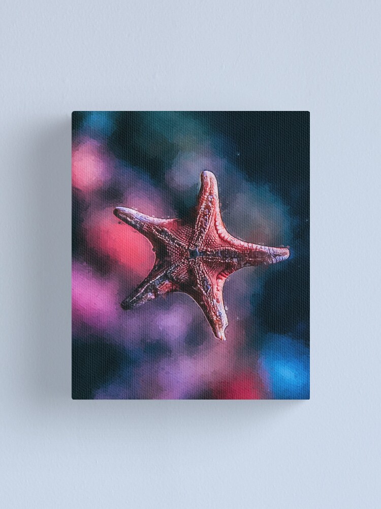 Purple And Pink Starfish