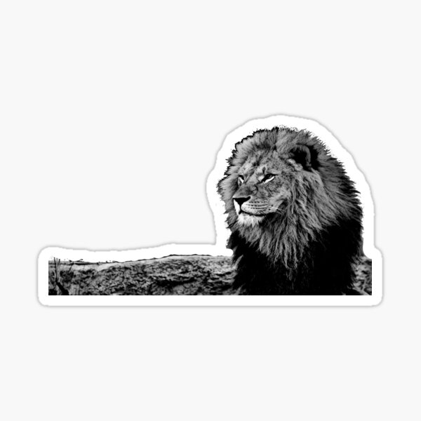 "black and white lion" Sticker for Sale by kaliguli | Redbubble