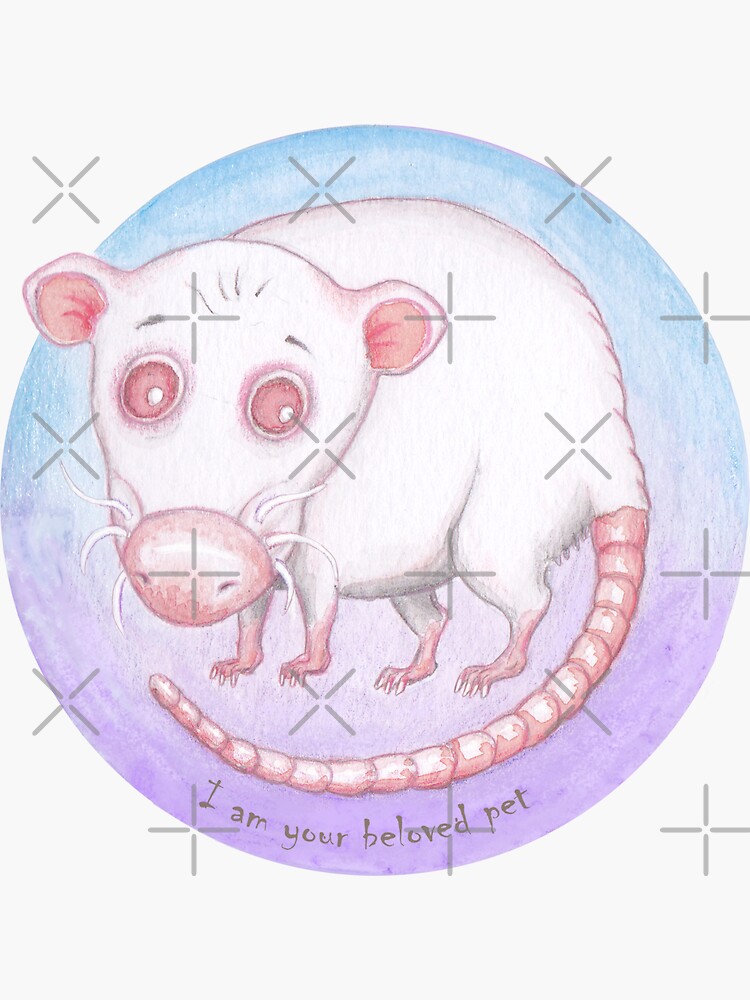 "Pet Rat Art" Sticker for Sale by tanjamandolin | Redbubble