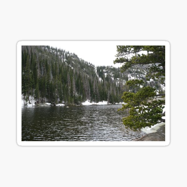 "Trees, Branches, Lake" Sticker for Sale by Haley-Marshall | Redbubble