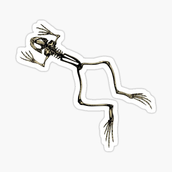 "FROG BONES" Sticker for Sale by MagnumOpusJA | Redbubble