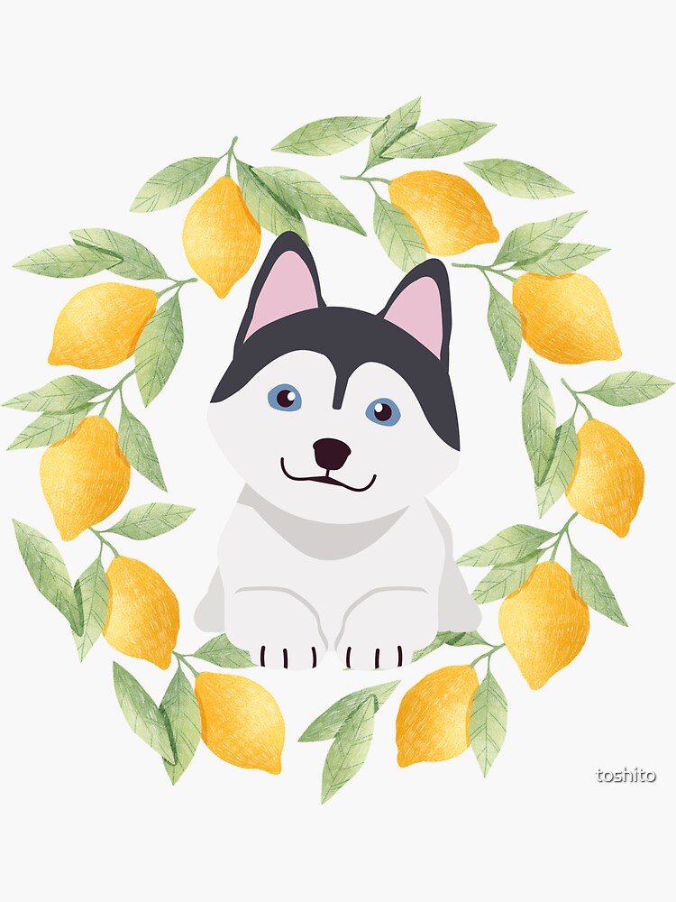 "Siberian Husky Lemon Wreath Dog" Sticker for Sale by toshito | Redbubble