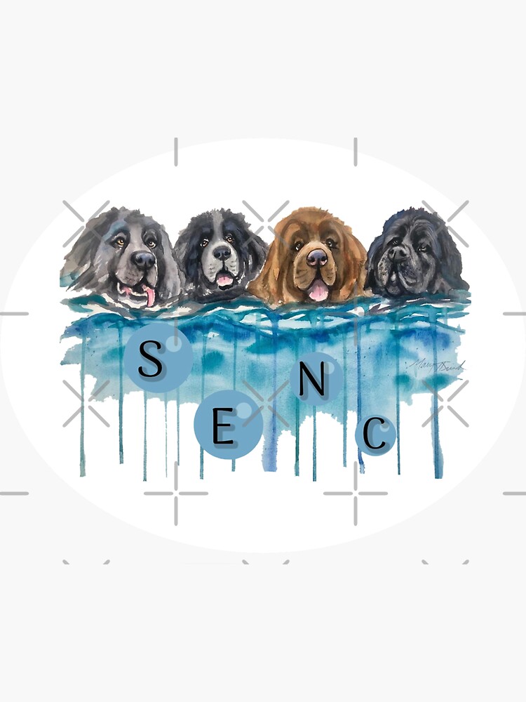 "2022 SENC WT - white oval background" Sticker for Sale by SENC-WT ...