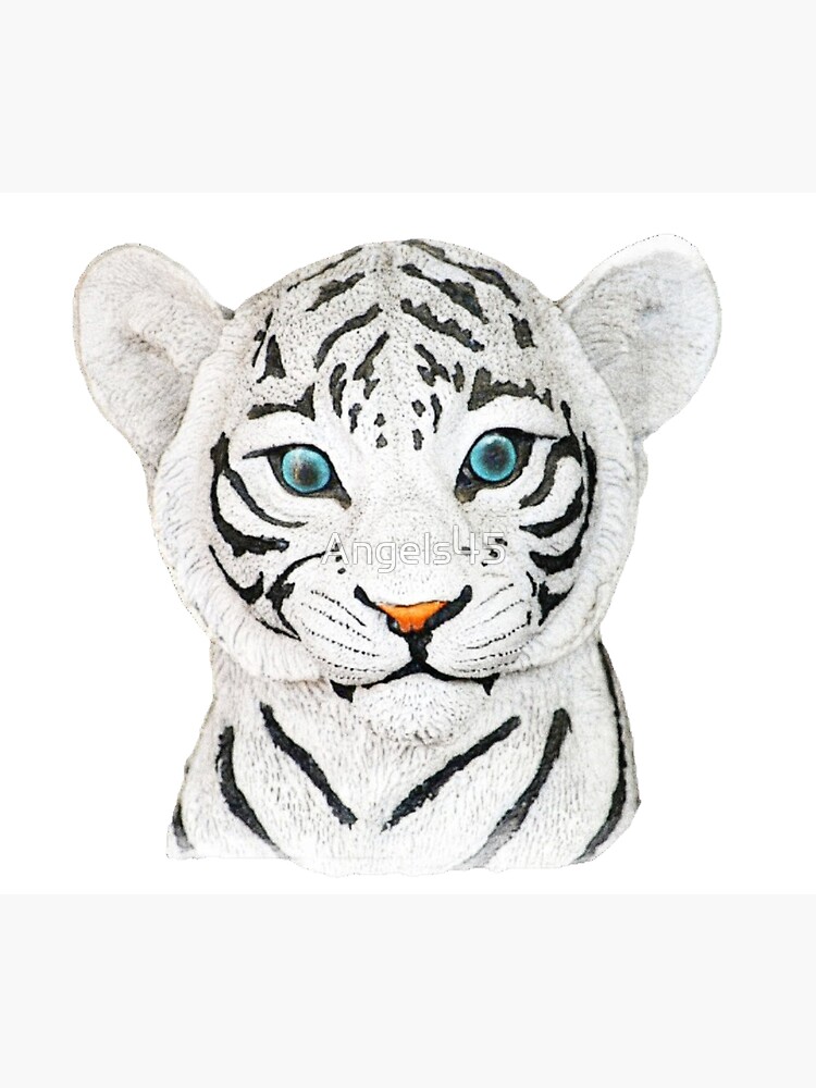 "Cute Beautiful White Tiger With Blue Eyes" Poster for Sale by Angels45 ...