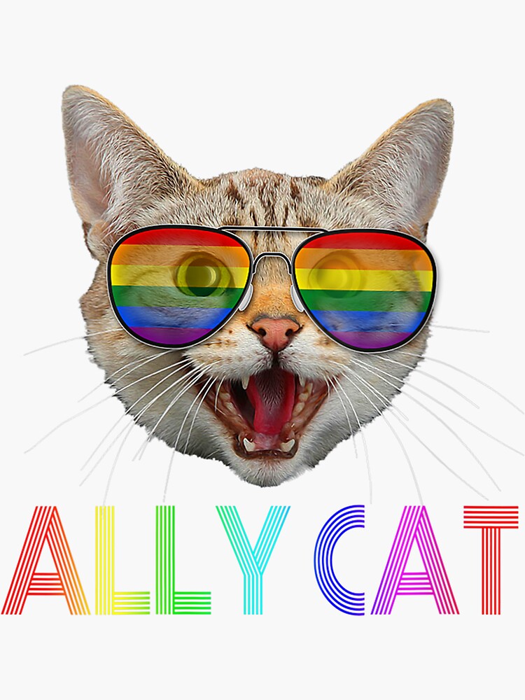 Womens Lgbtq Ally Cat Gay Pride Rainbow Flag Cat Kitten Lover Sticker