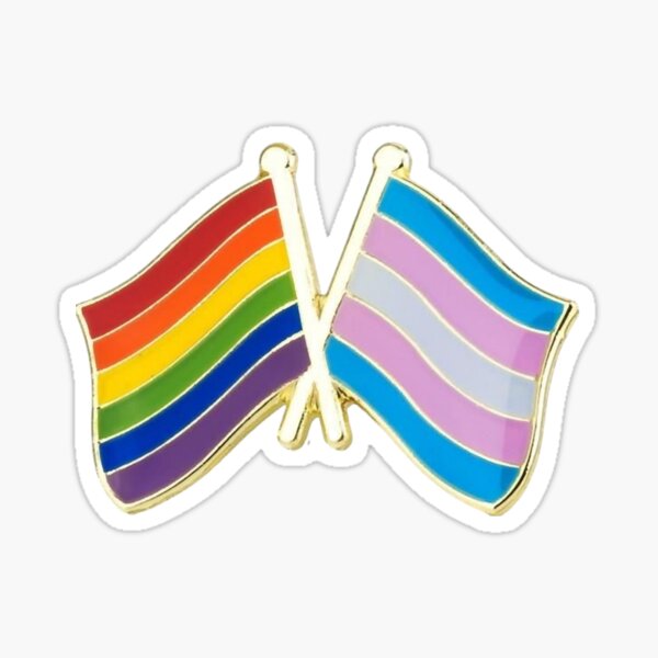 "Pride Allyship " Sticker for Sale by Butterfly3722 | Redbubble