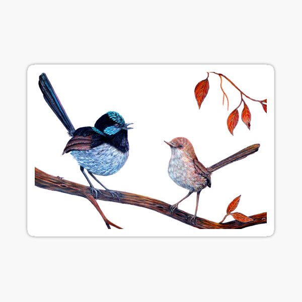 "Fairy Wren Couple" Sticker for Sale by LindArt1 | Redbubble