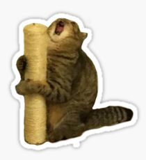 Cat Stickers | Redbubble