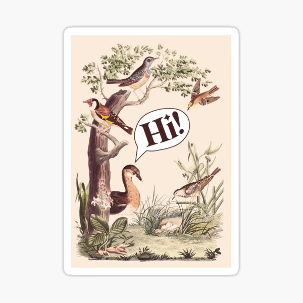 "Hi Hello Birds Biodiversity Vintage" Sticker for Sale by iamrobman ...