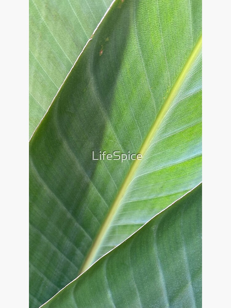 "Green Leaves by Mark Ewing" Poster for Sale by LifeSpice | Redbubble