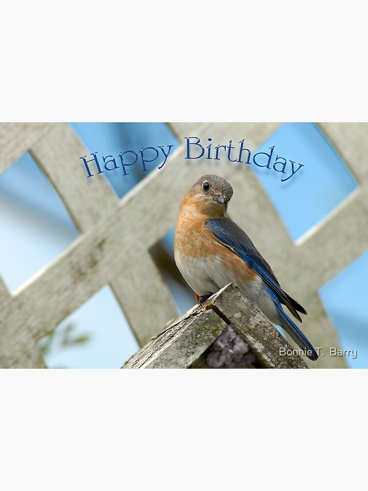"Happy Birthday Bluebird" Greeting Card for Sale by Bonnie T. Barry ...