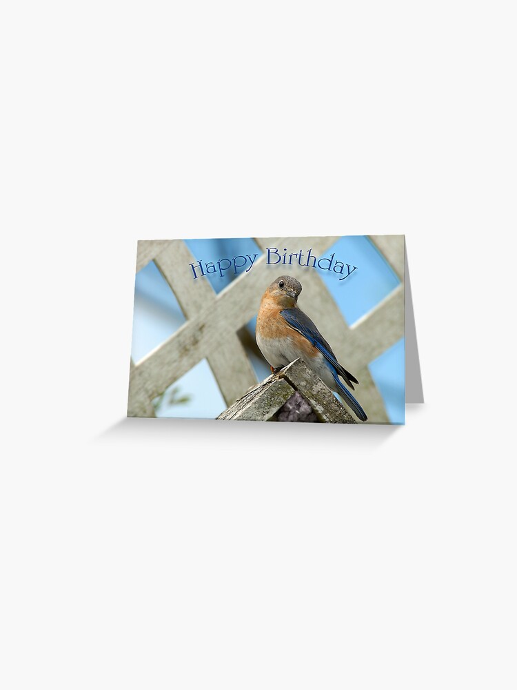 "Happy Birthday Bluebird" Greeting Card for Sale by Bonnie T. Barry ...
