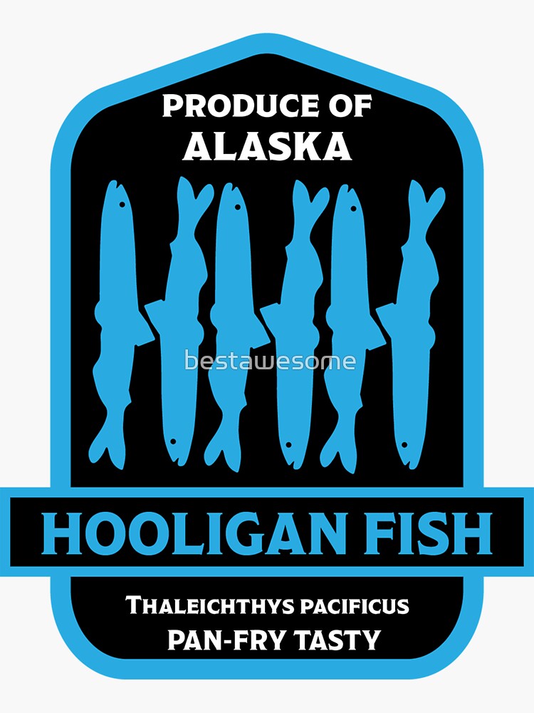 "Fishing Alaska - Thaleichthys Pacificus - Fishermen - Hooligan Fish ...