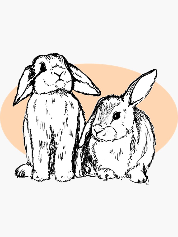 Bunny Rabbit T Shirtbunnies Sticker For Sale By Bicasophilder