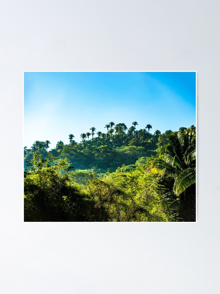 "Rainforest " Poster for Sale by FantasyArtStore | Redbubble