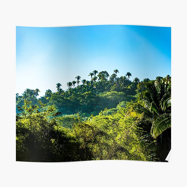 "Rainforest " Poster for Sale by FantasyArtStore | Redbubble