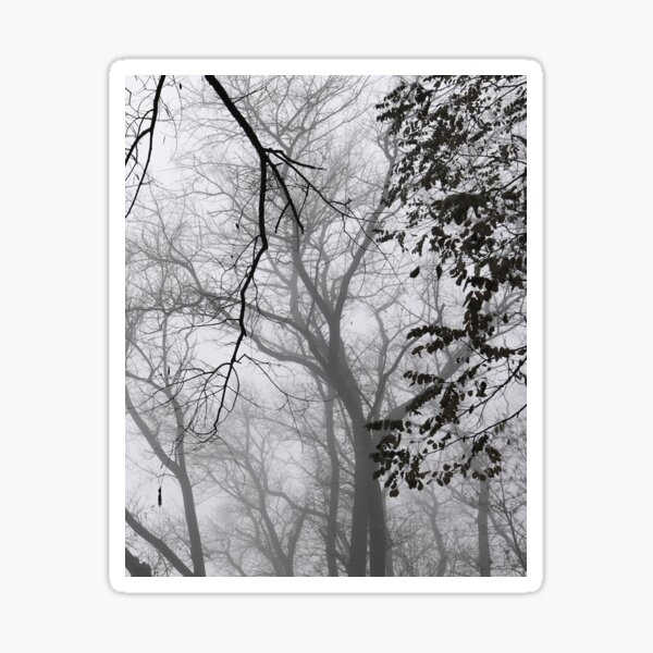 "Branches " Sticker for Sale by antithesisw | Redbubble