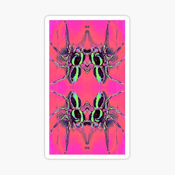 "Neon Spiders in Pink" Sticker for Sale by NyxSunflower | Redbubble