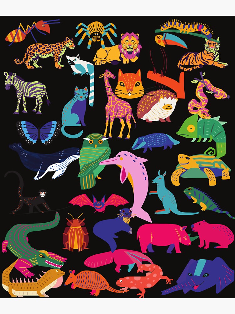 "Birds animals fish and insects" Sticker for Sale by mahdouche08 ...