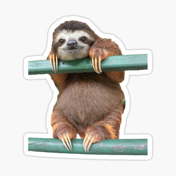 "Sloth" Sticker for Sale by kchaps | Redbubble