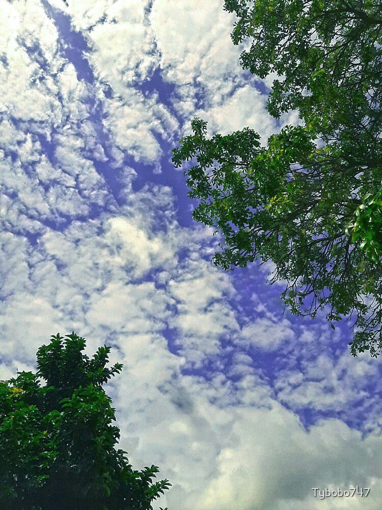 "Clear sky" Sticker for Sale by Tybobo747 | Redbubble