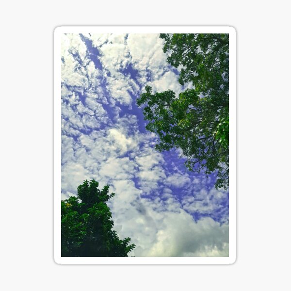 "Clear sky" Sticker for Sale by Tybobo747 | Redbubble