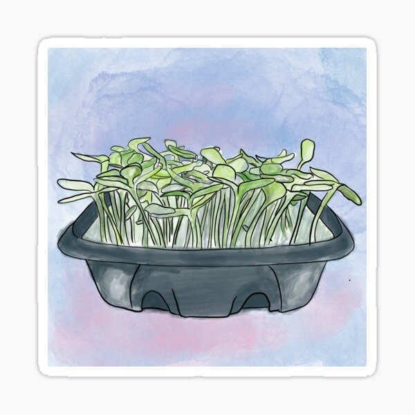 Microgreen Gifts & Merchandise for Sale | Redbubble