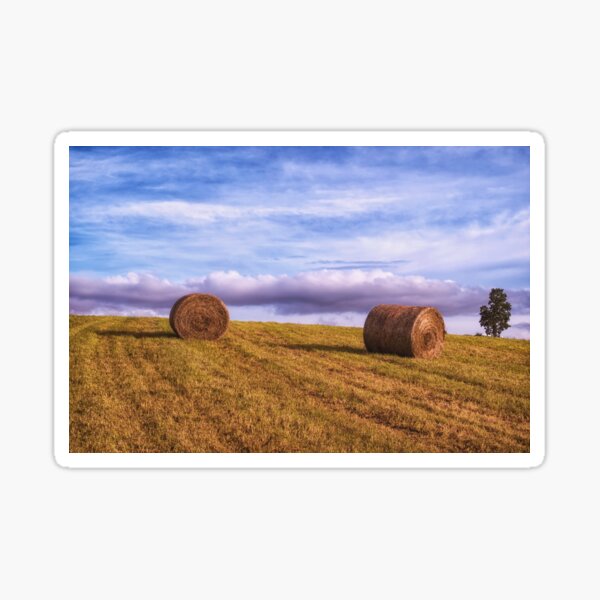 "Blue Sky Hay" Sticker for Sale by butterbean57 | Redbubble