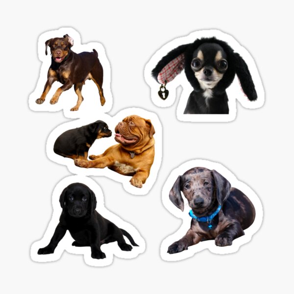 "Cute Dog Sticker Pack" Sticker for Sale by simzzuk | Redbubble
