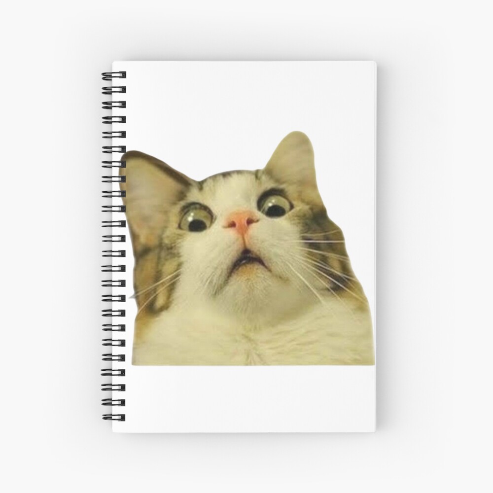"Cat Memes" Poster by Hshop01 | Redbubble