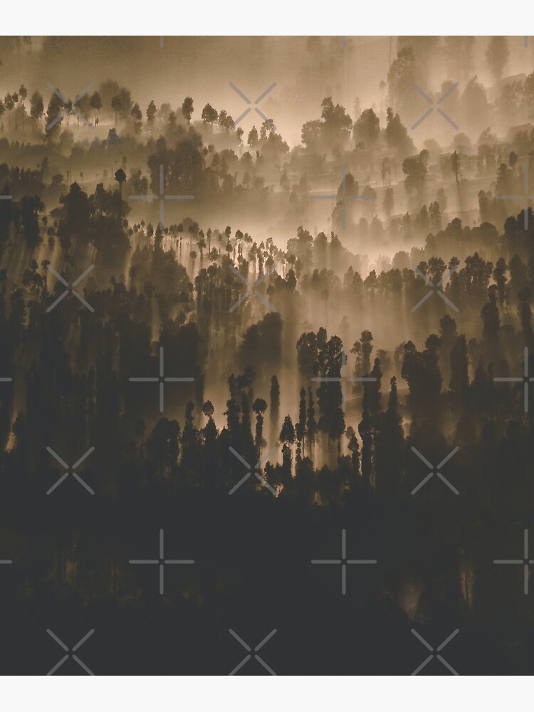 Poster « Dessin de la forêt brumeuse, forêt brumeuse vert foncé ...