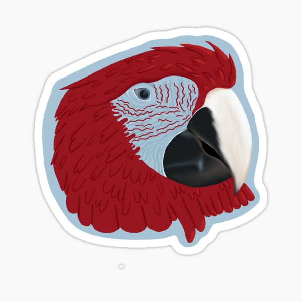 Pegatina «La guacamaya roja - Colección de animales» de boldbrainer ...