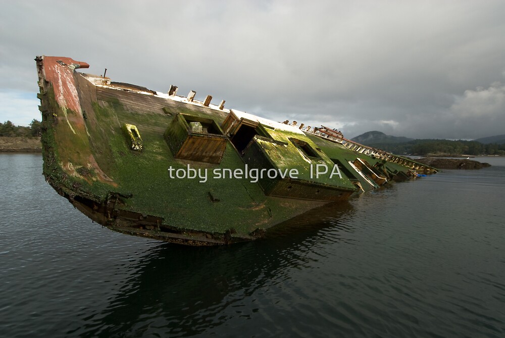 "Robertson II Returns to the Sea" by toby snelgrove IPA | Redbubble
