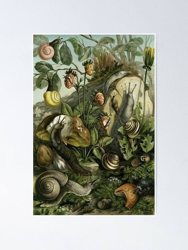 "slugs and snails" Poster for Sale by GenericPrint | Redbubble