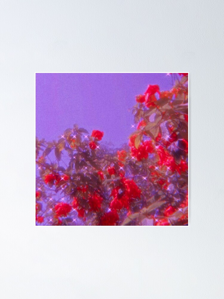 "aesthetically pleasing flowers and trees soft blur ethereal purple ...