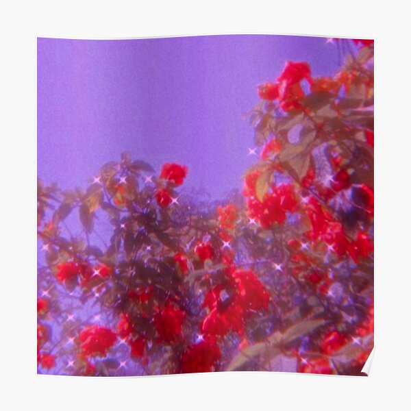 "aesthetically pleasing flowers and trees soft blur ethereal purple ...