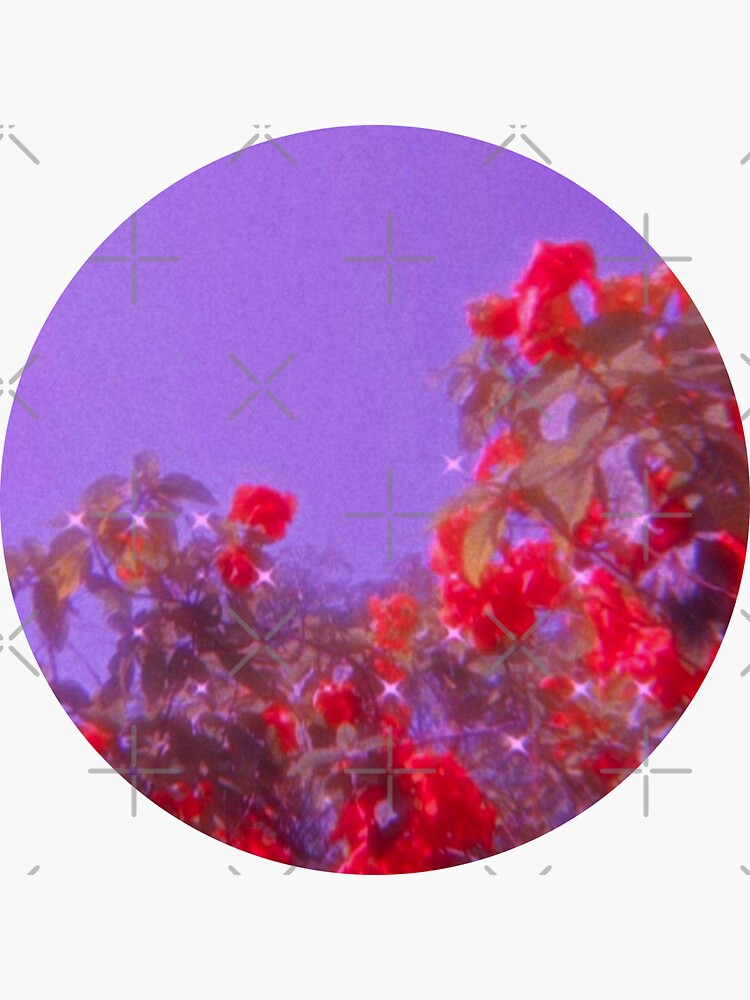 "aesthetically pleasing flowers and trees soft blur ethereal purple ...